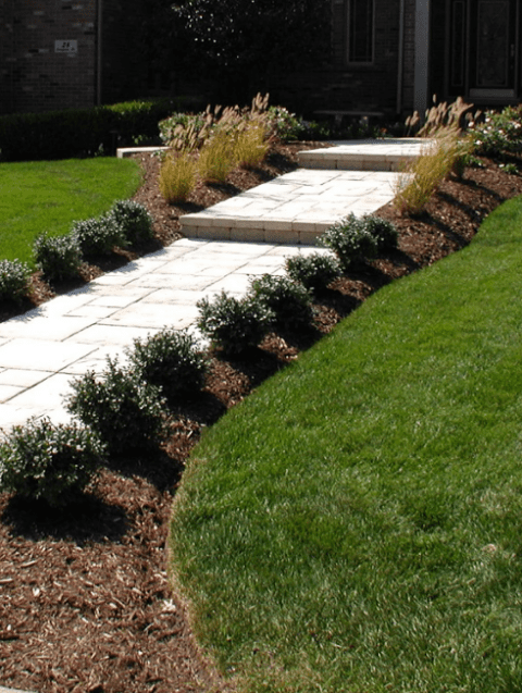 Mulching Services: The Foundation of a Healthy Landscape - Aesthetic ...