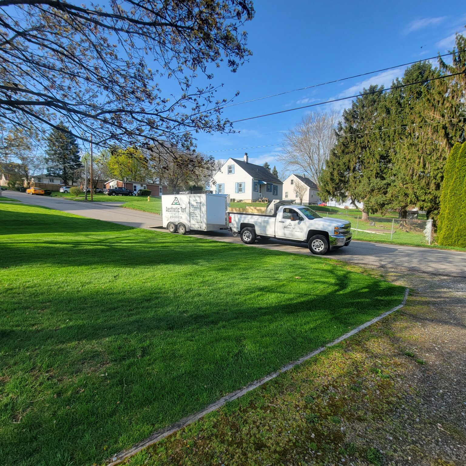 Lawn Fertilization and Weed Control - Aesthetic Turf Solutions