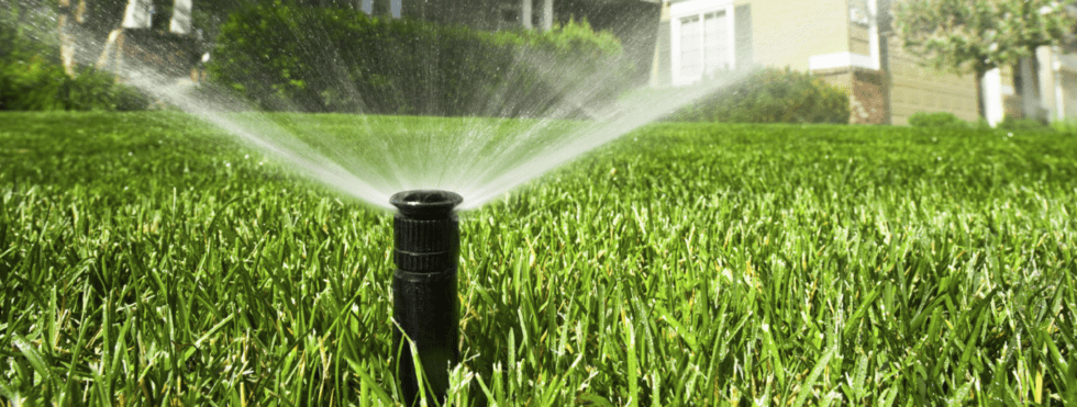 Common Lawn Watering Mistakes - Aesthetic Turf Solutions